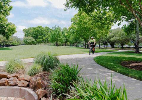 North Houston Corridor Beautification